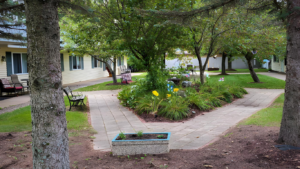 The Traditions Experience | Traditions Senior Care